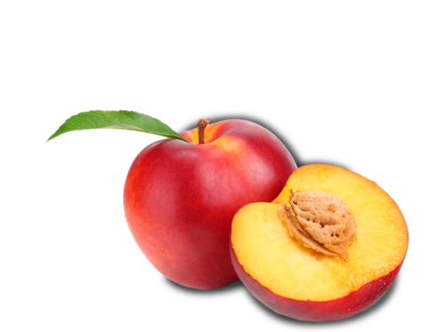 Stone Fruit - Kopke