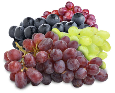 Home Page - William H. Kopke Jr. Inc.