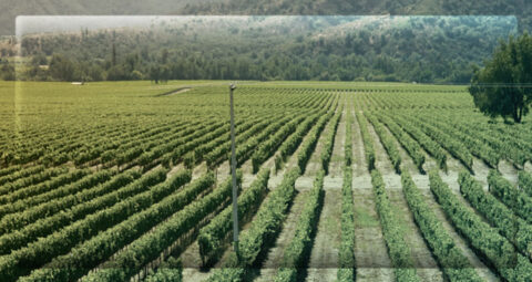 Our Story - William H. Kopke Jr. Inc.