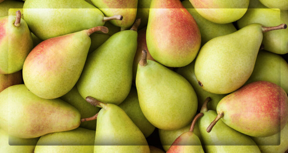 Our Story - William H. Kopke Jr. Inc.