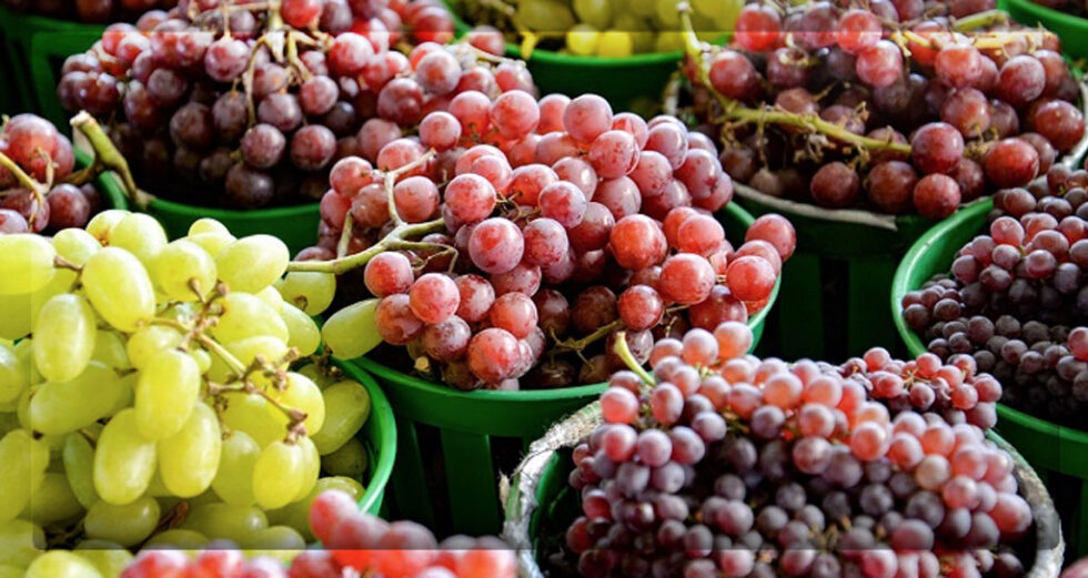 Our Story - William H. Kopke Jr. Inc.