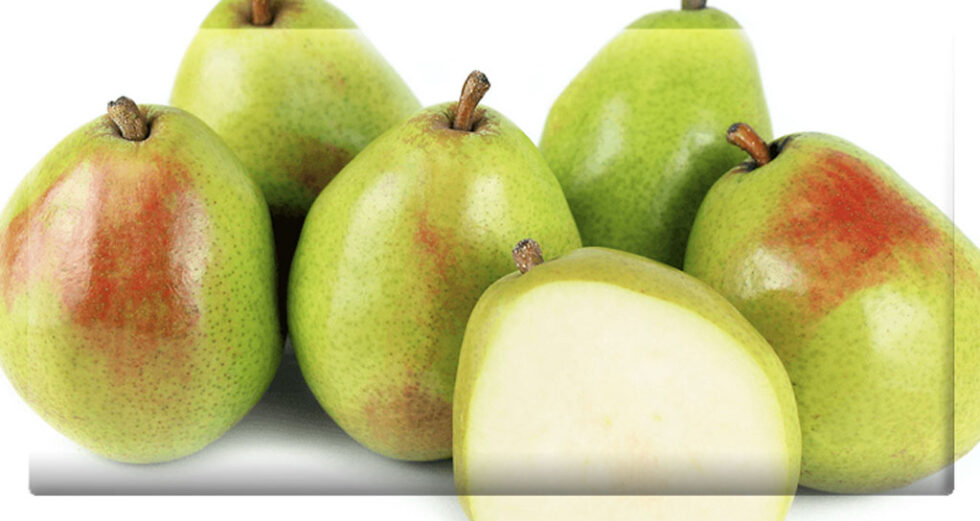 Our Story - William H. Kopke Jr. Inc.