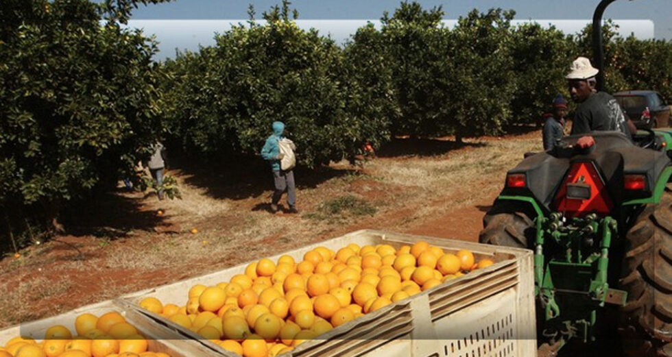 Our Story - William H. Kopke Jr. Inc.