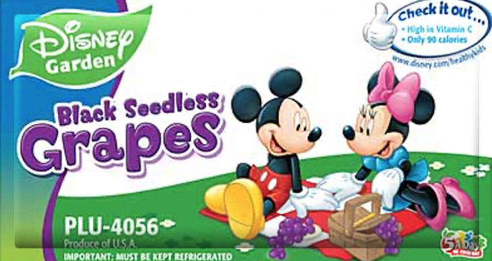 Our Story - William H. Kopke Jr. Inc.